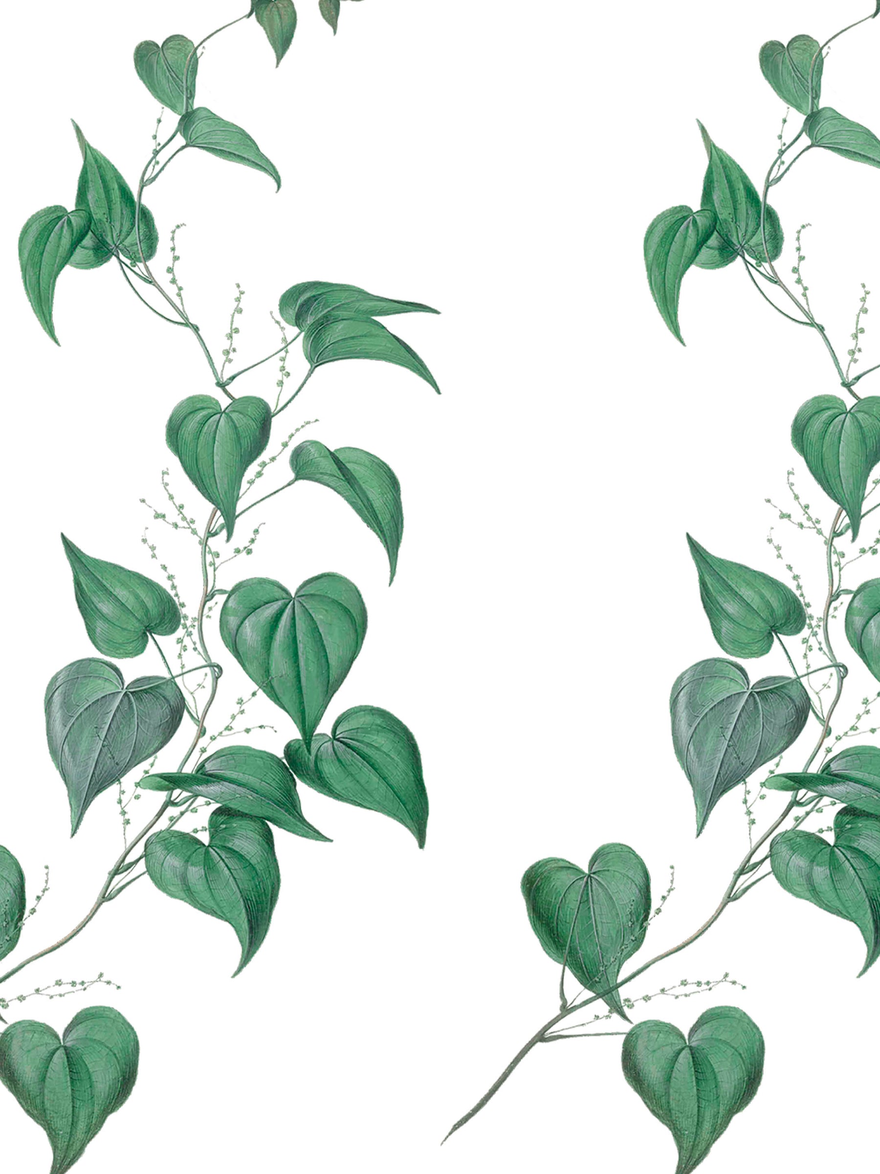 Vines Botanical Wallpaper - Green by Milola Design